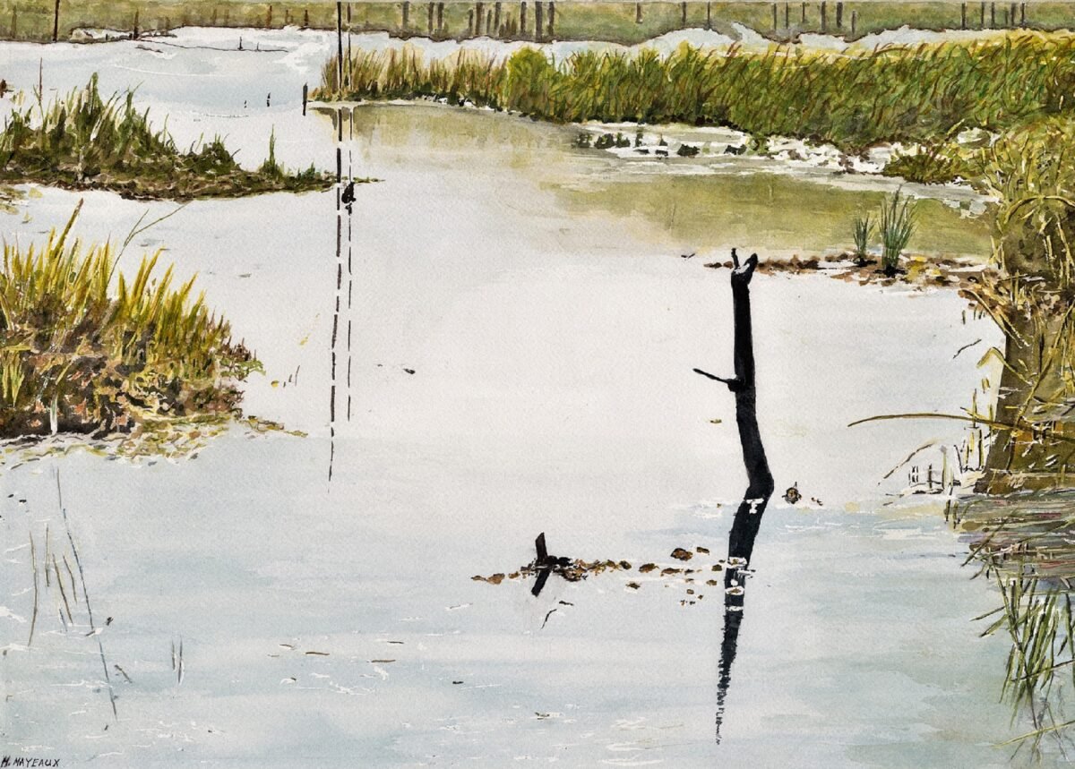 Louisiana Watercolor Society – Let Watercolor Shine!