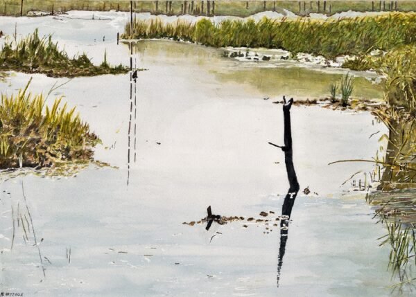 Louisiana Watercolor Society – Let Watercolor Shine!